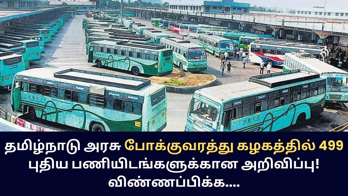 tnstc-recruitment-2024-499-apprentice-posts-apply-now